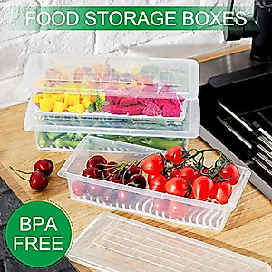 10 Pack Fruits Storage Organizer for Fridge with Lid and Removable Drain Plate 1.5 L Stackable Food Storage Produce Saver Container for Fridge to Keep Fruits Vegetables Meat Fish Fresh and Dry