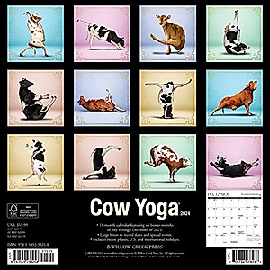 Willow Creek Press Cow Yoga Monthly 2024 Wall Calendar (12" x 12")