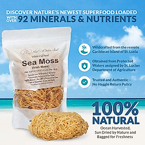 Irish Sea Moss | Seamoss | Wildcrafted - 100% Natural, Makes 240+ oz of Sea Moss Gel, from St. Lucia | 1 Pound - 16oz