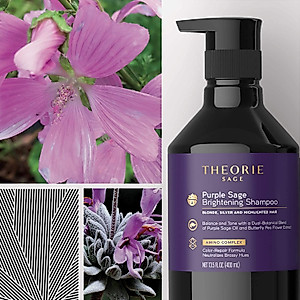Theorie Purple Sage Brightening Shampoo- Balance, Tone & Brighten Blonde, Silver, Grey, Bleached, Color Treated or Highlighted Hair, Eliminate Brassiness & Yellowing (13.53 Fl Oz (Pack of 1))