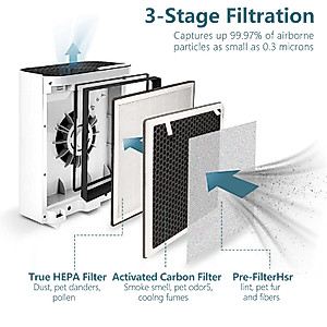 UTHIC 2 Pack Vital 100 True HEPA Replacement Filter Compatible with LEVOIT Vital 100 Air Purifier, H13 True HEPA and High-Efficiency Activated Carbon Filter Set