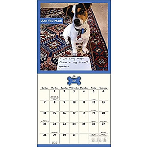 Dog Shaming 2023 Mini Wall Calendar