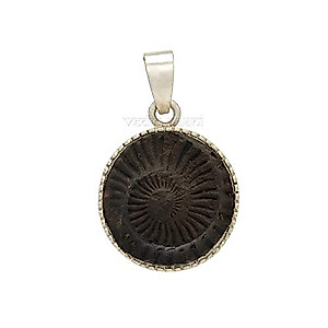 Vedic Vaani Natural Gandaki River Lord Vishnu Narayan Sudarshana Chakra Shaligram Shilla Stone Silver Pendant Locket (1 Piece)