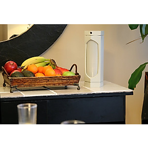 KosherLamp™ Max - Pink by KOSHER INNOVATIONS™