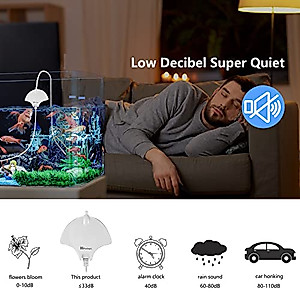 LERODITE Silent Mini Aquarium Air Pump, The Quiet Oxygen Air Pump for 1-25 Gallon Fish Tank with Air Pump Accessories, Adsorbable, Ultra Silent, 1.0 Watts