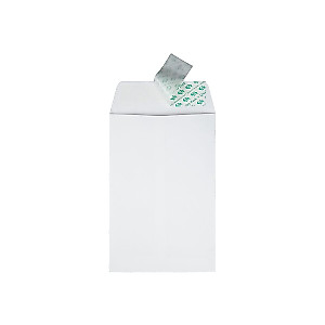 Quality Park 6 x 9 Catalog Envelopes with Self Seal Closure, for Mailing, Storage and Organizing, 28 lb. White Wove, 100 per Box (QUA44182)