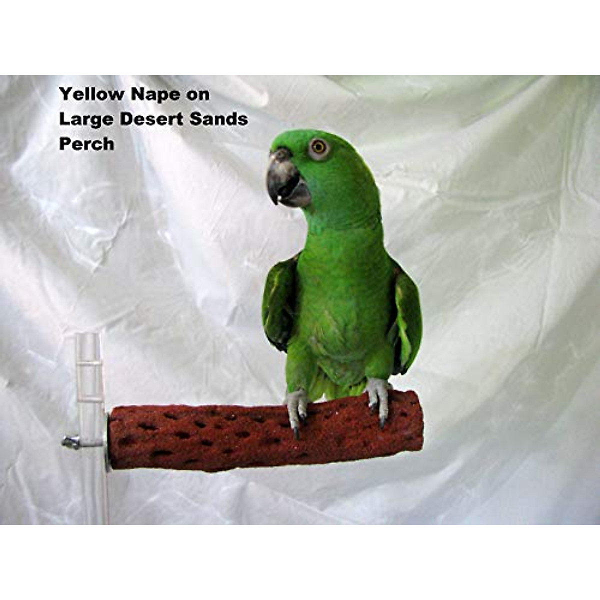 Polly's Desert Sands Bird Perch, Small