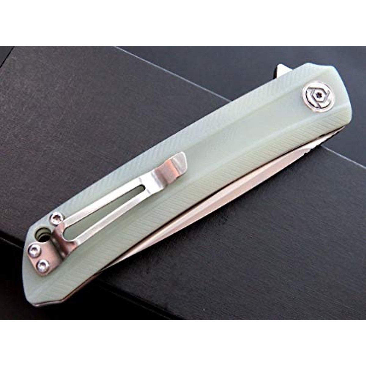 Eafegrow CH3002-G10 Folding Camping Knives 3.7 inch D2 Blade and G10 Handle Pocket Knives Outdoor Hunting Knife Tactical Folding Knives (jade)