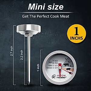 KT THERMO Steak Button Thermometer, Poultry Meat Thermometer, Instant Read Food Stainless Steel Dial Thermometers, Grill Mates Barbecue BBQ Tools, Grilling and Baking Steak Thermometers, Set of 4