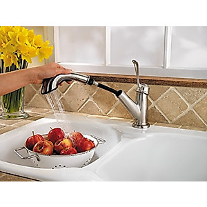 Pfister Bixby 1-Handle Pull Out Kitchen Faucet, Stainless Steel, 1.8 gpm LF5385LCS