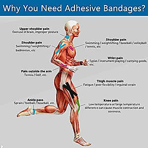 Self Adhesive Wrap Cohesive Wrap Bandages 6 Count 3" x 5 Yards, Medical Tape, Adhesive Flexible Breathable First Aid Non Woven Rolls, Stretch Athletic, Ankle Sprains & Swelling, Sport