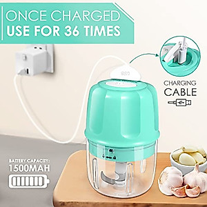 Rechargeable Portable and Cordless Mini Food Processor 250ML with Stainless Steel Blade, Electric Garlic Chopper Vegetable Chopper Blender for Nuts Chili Onion Minced Meat and Spices BPA-Free(Green)