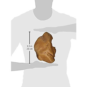 Exo Terra Reptile Cave, Medium