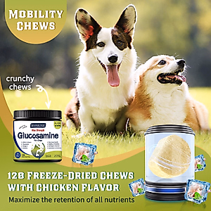 Glucosamine for Dogs, Hip and Joint Supplement for Dogs with Chicken Flavor, Anti Inflammatory, Dog's Chondroitin, Digestive Enzymes, Omega-3, Vitamin D, MSM, Calcium, Turmeric, 120 Freeze-Dried Chews