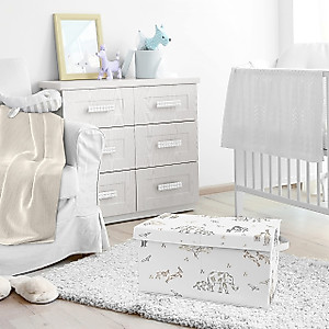 Sweet Jojo Designs Jungle Safari Animals Boy Girl Small Fabric Toy Bin Storage Box Chest Baby Nursery Kids Brown Taupe Black and White Gender Neutral Elephant Giraffe Wildlife Adventure Serengeti