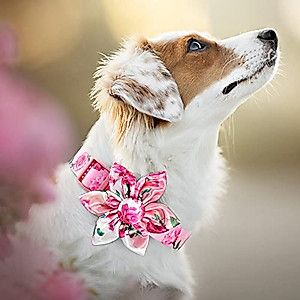 Pink Dog Collar Floral Girl Dog Collar with Rose Flower Bow Tie Dog Collar for Cute Girl Female Cats Dogs Spring Summer Season Dog Collar for Puppy Small Medium Large Dogs Best Gift for Your Furbaby