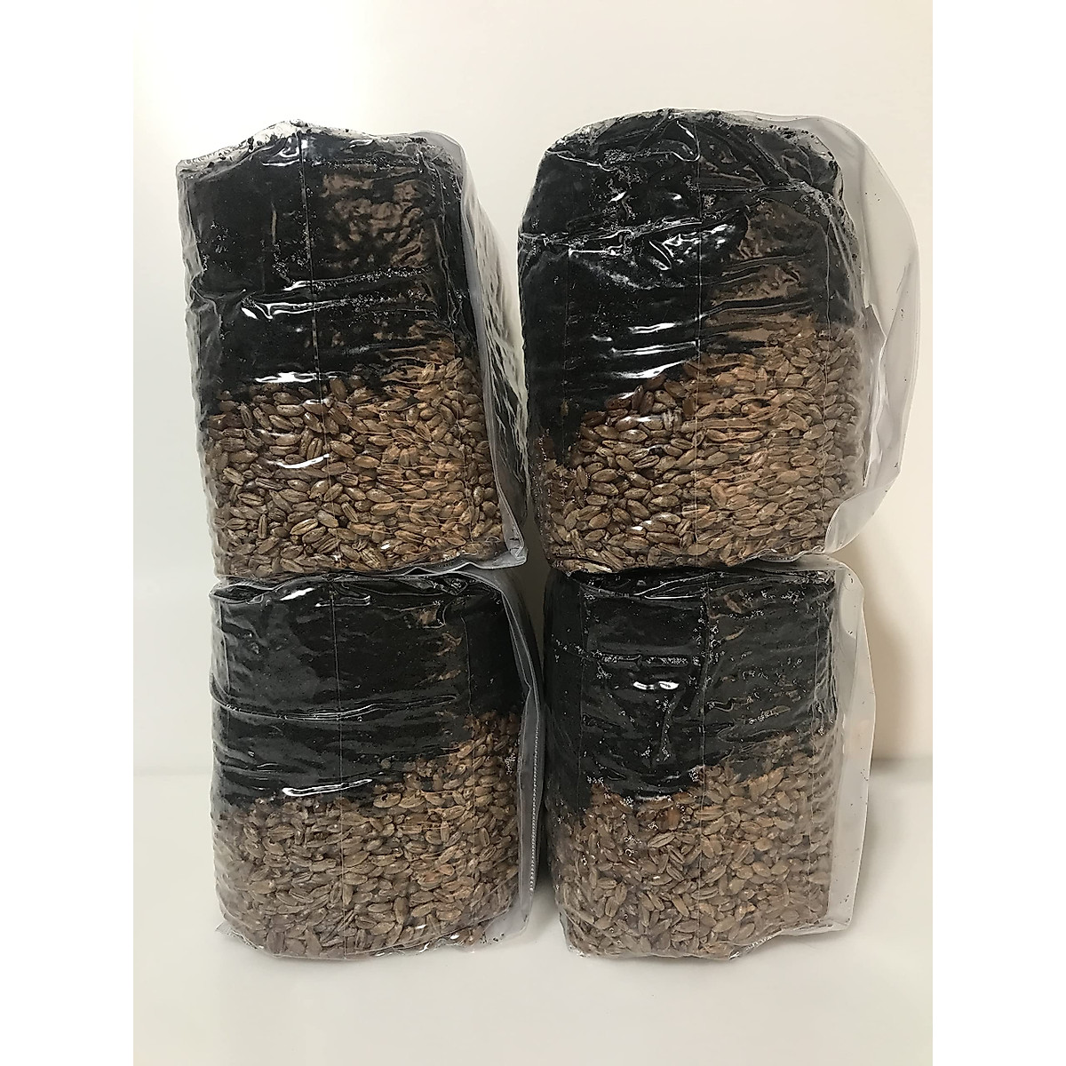 Mushroom Grow Kit - Magic All in One Mushroom Grow Bags - 4 Pack