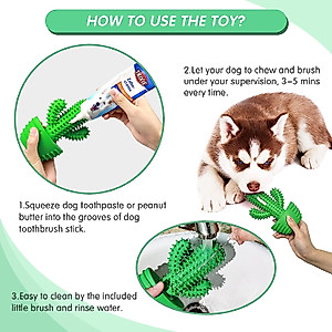 Pamlulu Dog Toys Set,Dog Chew Toy Cactus Tug of War Toy Set Dog Squeaky Toys for Aggressive Chewers Cactus Tough Toys Interactive for Training Cleaning Teeth
