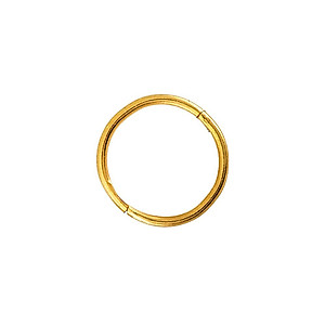Gold-Tone 925 Sterling Silver Nose Ring Hinged Hoop 3/8" 9.5mm 18G