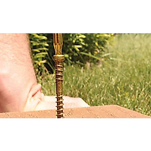 GRK 772691157348 Fin/Trim Screw, 3.125 inches, Gold, 2500 Count