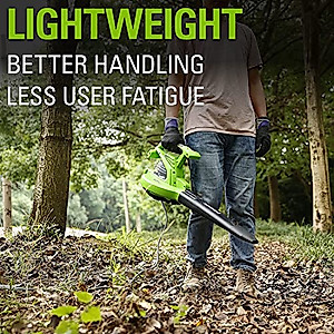 Greenworks 12 Amp 2-Speed (230 MPH / 375 CFM) Blower / Vacuum