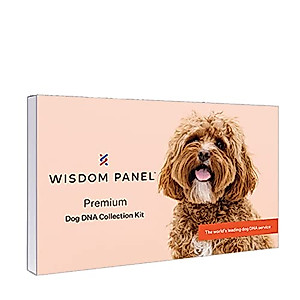 Wisdom Panel Premium: Most Comprehensive Dog DNA Test for 200+ Health Tests | Accurate Breed ID and Ancestry | Traits | Relatives | Genetic Diversity | Vet Consult | 1 Pack