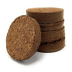 Heirloom Salad Greens Seed Starter Kit by EZ-gro | Our Indoor Vegetable Garden Kit Contains 5 Different Salad Seeds | Contains Everything an Indoor Vegetable Garden Kit Needs with Fertilizer