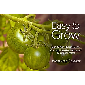 Green Zebra Tomato Seeds for Planting Heirloom Non-GMO Seeds for Home Garden Vegetables Makes a Great Gift for Gardening by Gardeners Basics