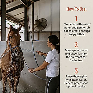 J·R·LIGGETT'S Horse Shampoo Bar Great for Sensitive Skin - Relieves Dry, Itchy Skin - Hypoallergenic and Biodegradable Formula – 100% Detergent-Free, 100% Ecologically Correct, Non-GMO, 3.5 oz.