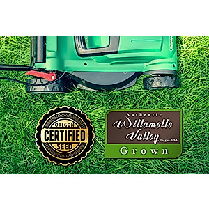 Kentucky 31 K31 Tall Fescue Grass Seed by Eretz - CHOOSE SIZE! State Certified, No fillers, No Weed or Other Crop Seeds (5lbs)