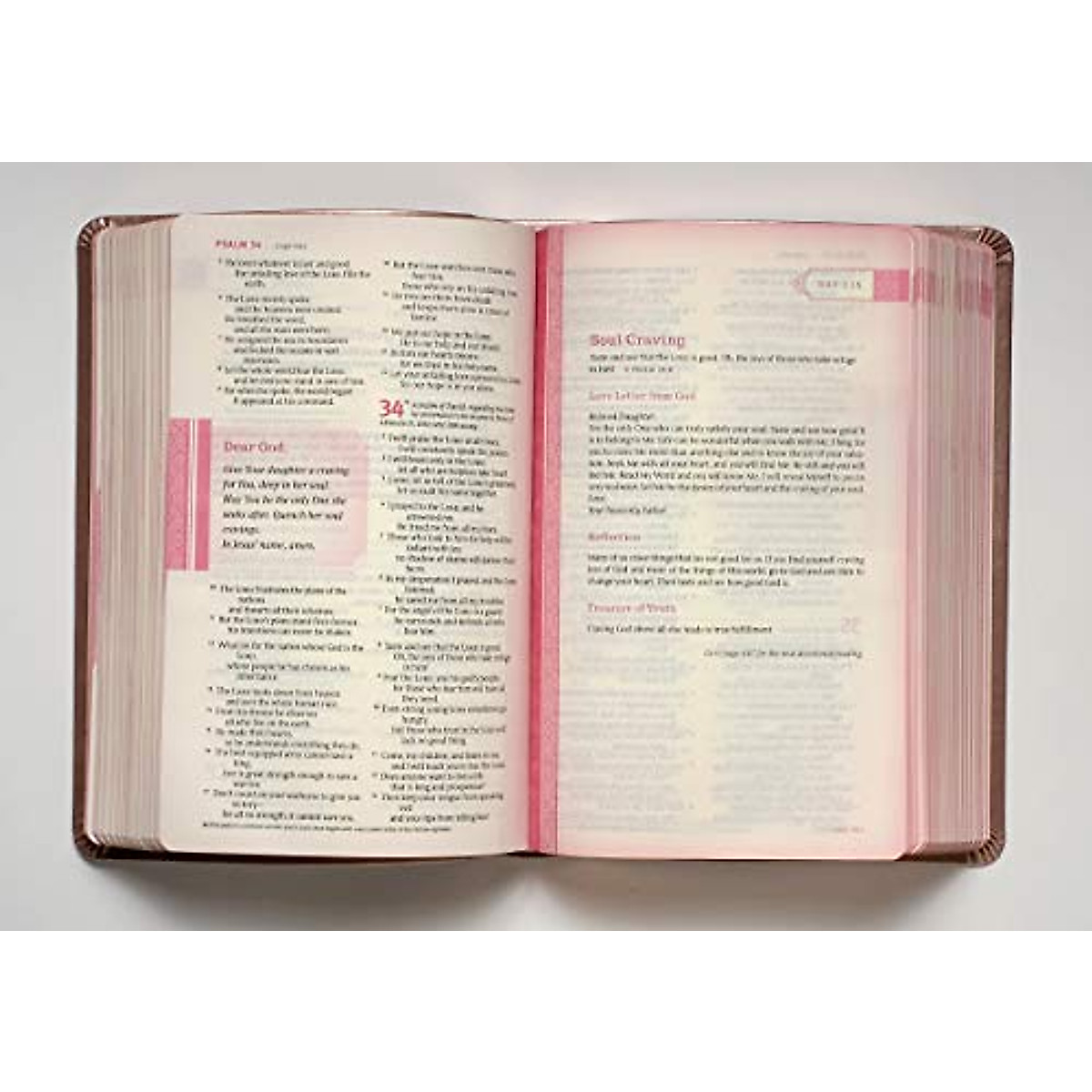 NLT THRIVE Devotional Bible for Women (Hardcover)