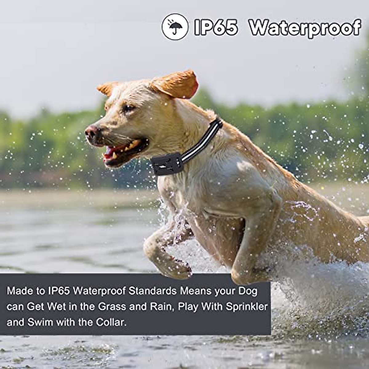 AICSDCO Wireless Dog Fence System,2023 Electric Fence & Training Collar for Dogs, 2 in 1 Pet Containment Fence and Safety Latch Dog Collar for Small,Medium,Large Dog for The Yard