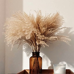 LEUEE 60Pcs Natural Dried Flowers Pampas Grass Phragmites Communis Bouquet Dried Reed Grass Plumes Dried Flowers for Wedding Vase Indoor Home Garden Party Arrangements Art Craft