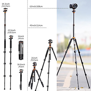 K&F Concept 63" Carbon Fiber Camera Tripods,D254C1+BH-28L Compact Tripod with Detachable Monopod, Metal Ball Head 10KG Load Capacity with Quick Release Plate for SLR DSLR Digital Camera/Camcorder