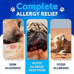 Dog Allergy Relief Chews - Itch Relief for Dogs - Fish Oil - Omega 3 - Itchy Skin Relief - Seasonal Allergies - Anti Itch Support & Hot Spots - Immune Health Supplement for Dogs - Made in USA