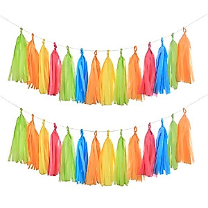 25 PCS Fiesta Paper Tassel Garland Paper Banner DIY Hanging Paper Decoration Party Garland Streamers for Wedding, Birthday Celebration Party Decor and Outdoor Decor