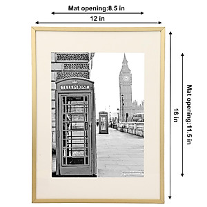 Fixwal 12 x 16 Frame Gold Aluminum Picture Frame Set of 1, Metal Gold Frame Tempered Glass with Mat for Wedding, Wall Display