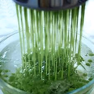 Lod Chong Singapore Thai Cookware Sruut Cendol Maker Traditional Coconut Milk Dessert And Noodles Stainless 5" x 7.5"