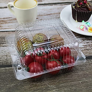 Cake Slice Containers,100PC Square Plastic Hinged Food Container Individual Clamshell Food Containers Disposable Plastic To Go Containers Takeout Tray for Salads, Pasta, Sandwiches 5.3x4.7x2.8 Inch