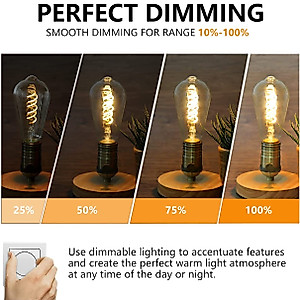 BORT 6W Vintage LED Edison Bulbs, ST58/ST19, Warm White 2700K, Antique LED Filament Light Bulbs, Dimmable, 60W Equivalent, 600LM, E26 Standard Base, Clear Glass 6W-2700K-6Pack