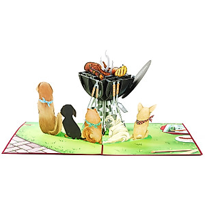 Liif King Of Grill Fathers Day Card, 3D Funny Fathers Day Pop Up Card, Funny Birthday Card For Dad, Men, Husband, Chef, Him, Grandfather, Dog Dad | With Message Note & Envelop (King Of Grill)