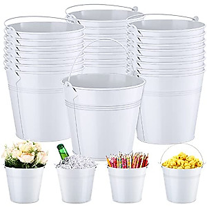 Rtteri 24 Pcs Metal Bucket, Small Metal Bucket, Party Favor Buckets with Handle, 6 x 5 Inch Ice Bucket for Kids, Flower Pot Plant Basket, Mini Toy Containers for Crafts Candy (White)