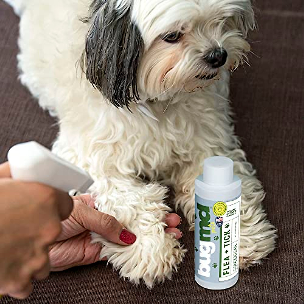 BugMD Flea and Tick Concentrate (3.7 oz)- Essential Oil-Powered Formula, Controls Fleas, Ticks, Mites in Dogs, Cats, and Other Furred Animals, Spray on Pet Beds, Kennels