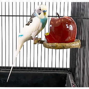 Penn-Plax Garden Cups – for Seed, Water, and Treats – Great for Small Birds (Parakeets/Budgies, Parrotlets, Cockatiels, Canaries, & Finches) – Apple (BA450)