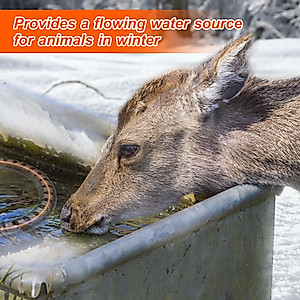 lollyes 250W Bird Bath Heater, Heated Bird Baths for Outdoor in Winter, Bird Bath De-icer with Thermostatically Controlled and 3.3Ft Cord, with Auto Shut Off Function, Ideal Gift for Birds