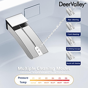 DeerValley Smart Toilet, One Piece Smart Toilet with Bidet Built in, Elongated Toilet with Auto Open & Close, Auto Flush, Warm Water Sprayer & Dryer, Heated Seat, Foot Kick Operation