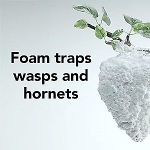 Raid Max Foaming Wasp & Hornet Killer, Fast Coverage Foam, Bug Killer Kills The Entire Nest, 16.5 oz