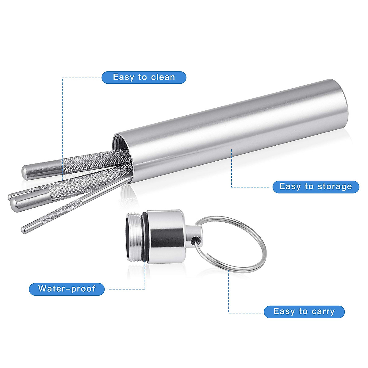 Worldity 5Pcs Reusable Toothpick, Portable Metal Toothpick, Professional Teeth Cleaning Tools, Dental Picks with Toothpick Holder and Key Ring for Travel Picnic Camping