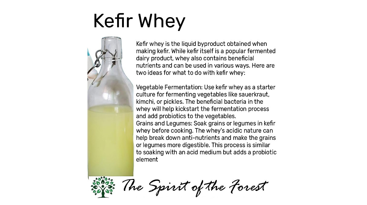 Buy Fresh Milk Kefir Grains for Homemade Fermentation | The Spirit Of ...