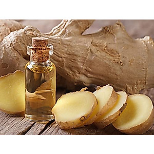 Axe Sickle 10 mL Cork Stopper Glass Bottles Mini Transparent Glass Bottles 24 Pcs.